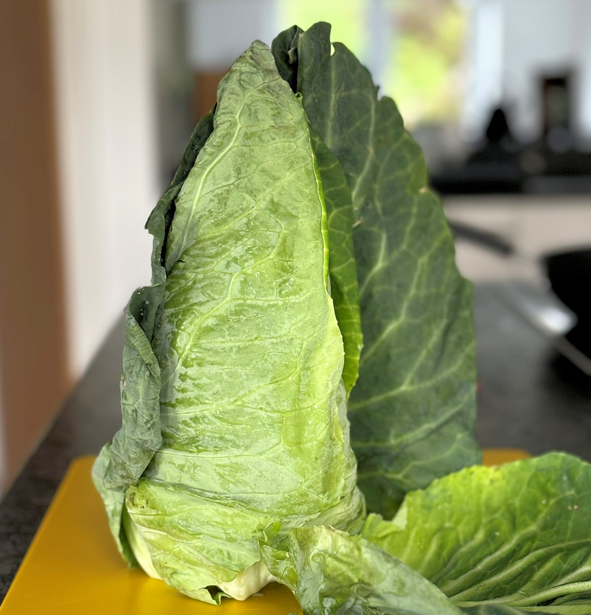 Grilled Hispi Cabbage With Almonds | Recipe | Cuisine Fiend